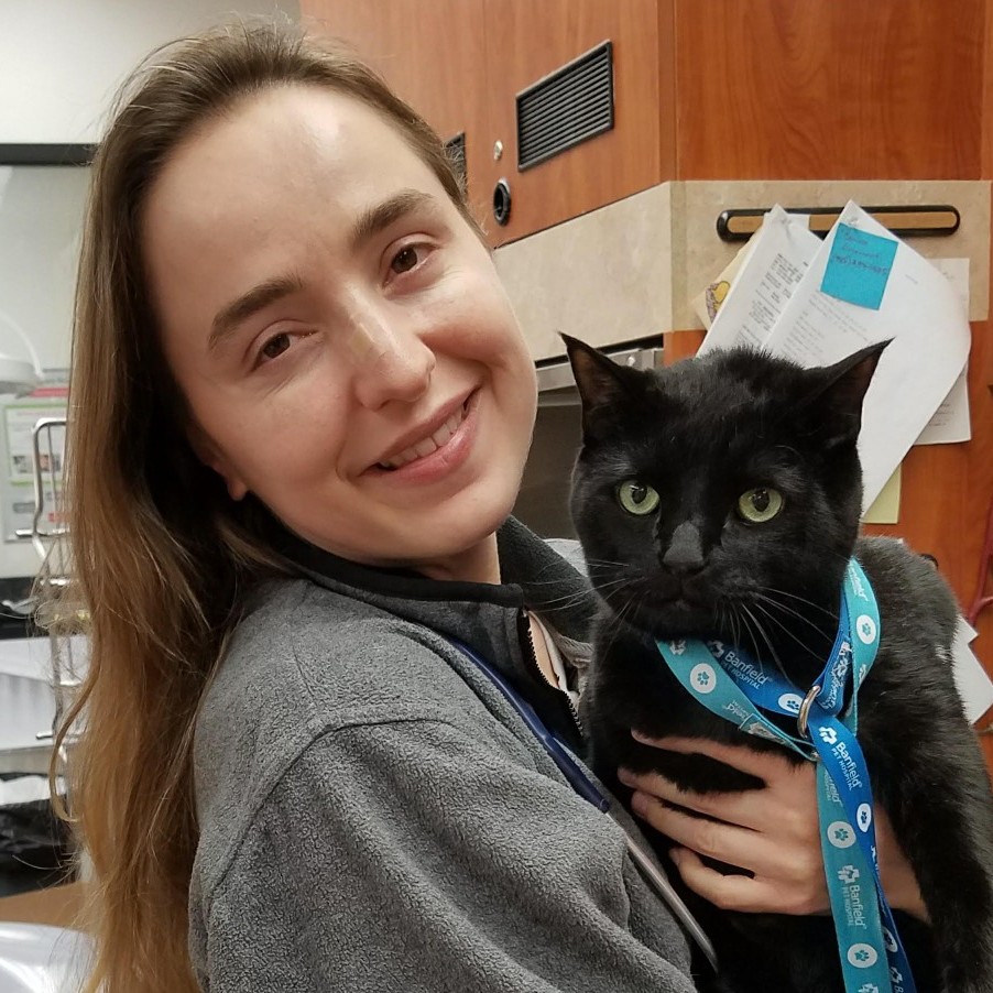 Kounsel | Sarah Pittman DVM | veterinarian based on San Antonio, Texas ...
